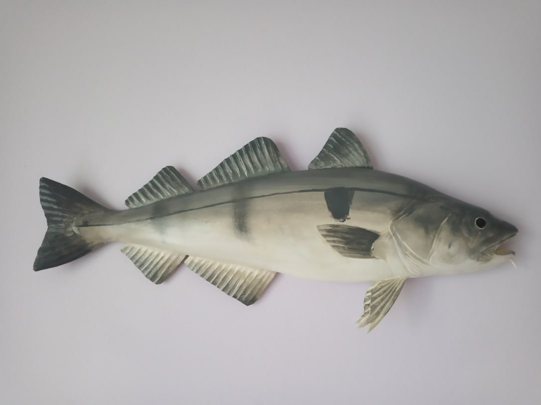 Haddock, Melanogrammus Aeglefinus, 16-20 Inches 3D Wall Wooden Fish ...