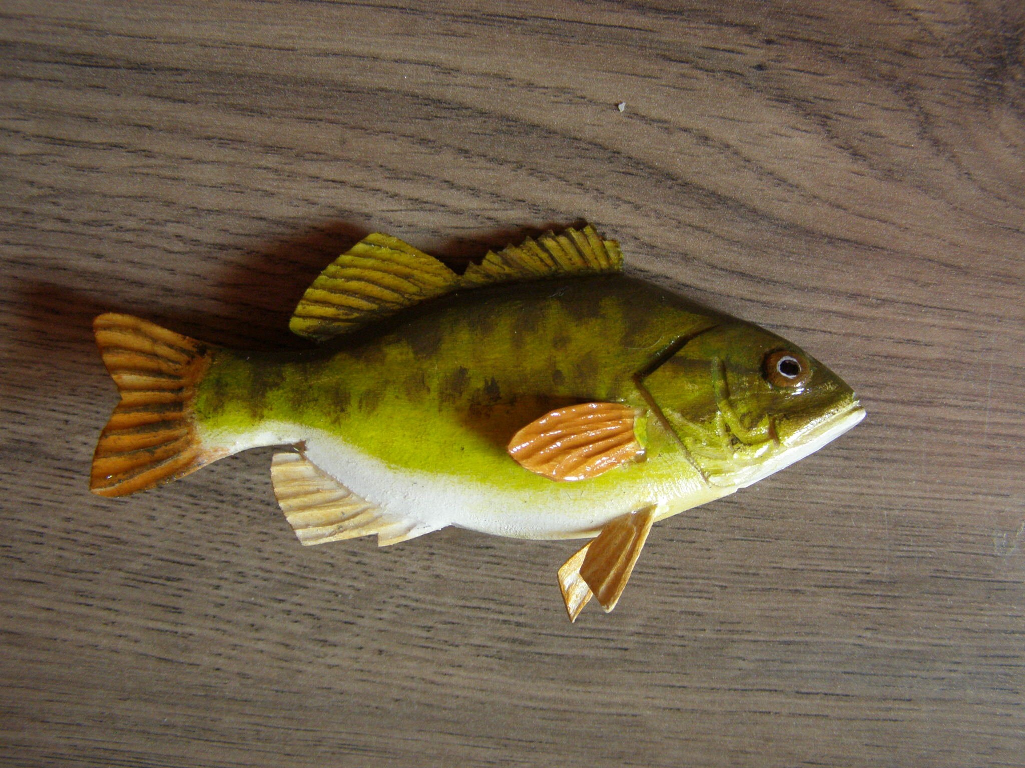 Juvenile Largemouth Bass, Micropterus Salmoides, 5-10 Inches 3D Wall ...
