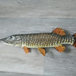 Northern Pike, Esox Lucius, Pike, 16-20 Inches 3D Wooden Fish, Both ...