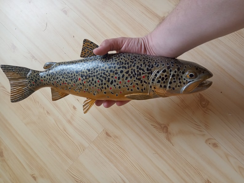 Brown Trout, Salmo Trutta, River Trout, 16-20 Inches 3D Wall Wooden ...