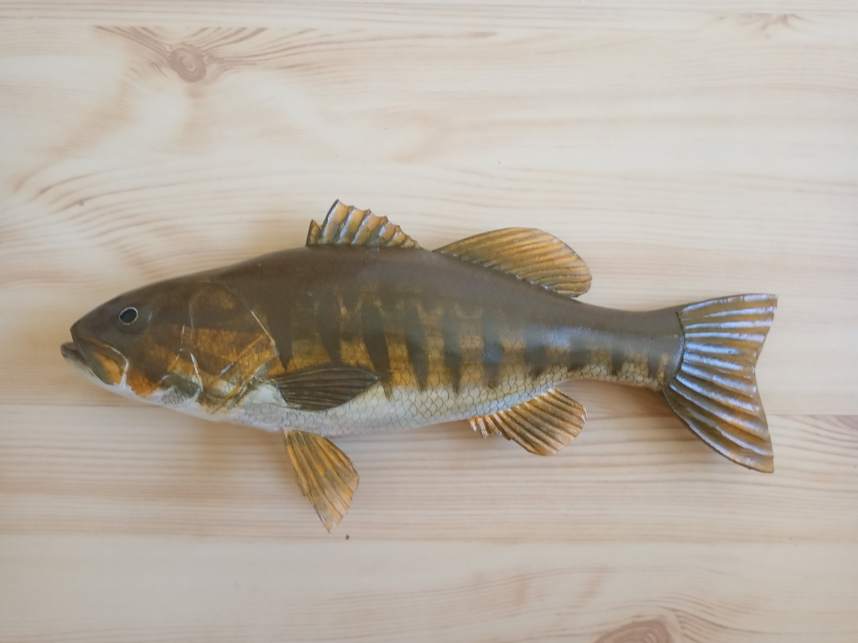 Smallmouth Bass, Micropterus Dolomieu, 11-15 Inches 3D Wall Wooden Fish ...
