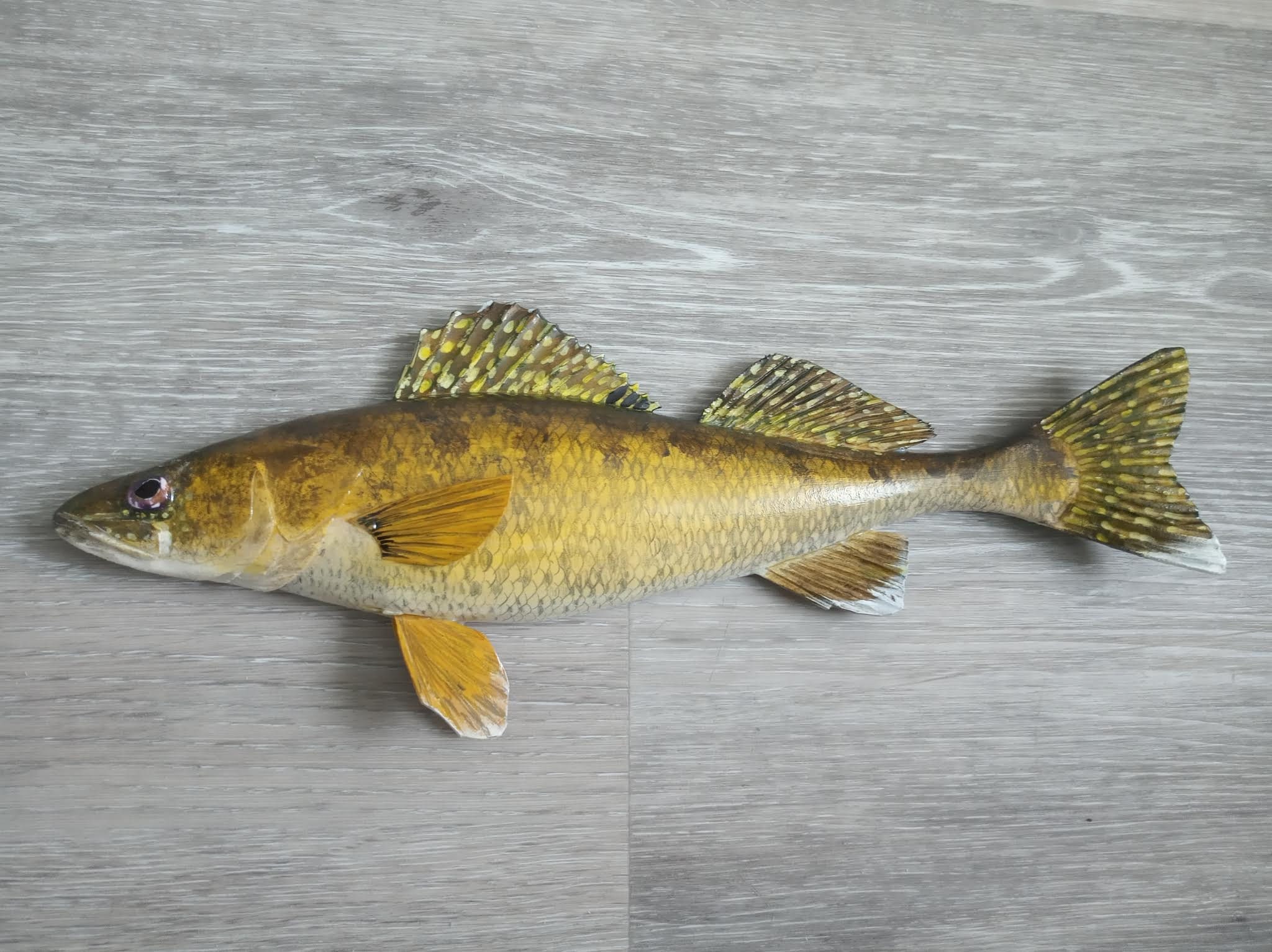 Walleye, Sander Vitreus, Yellow Walleye, 11-15 Inch 3D Wall Wooden Fish ...