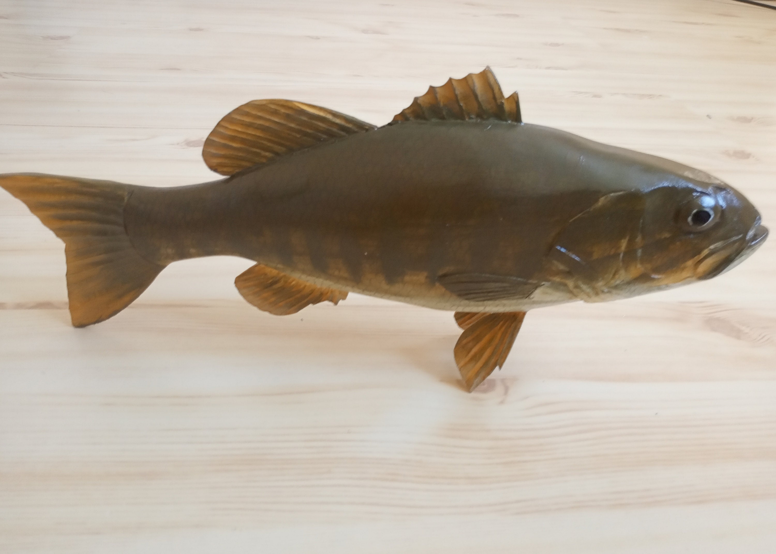 Smallmouth Bass, Micropterus Dolomieu, 11-15 Inches 3D Wooden Fish ...