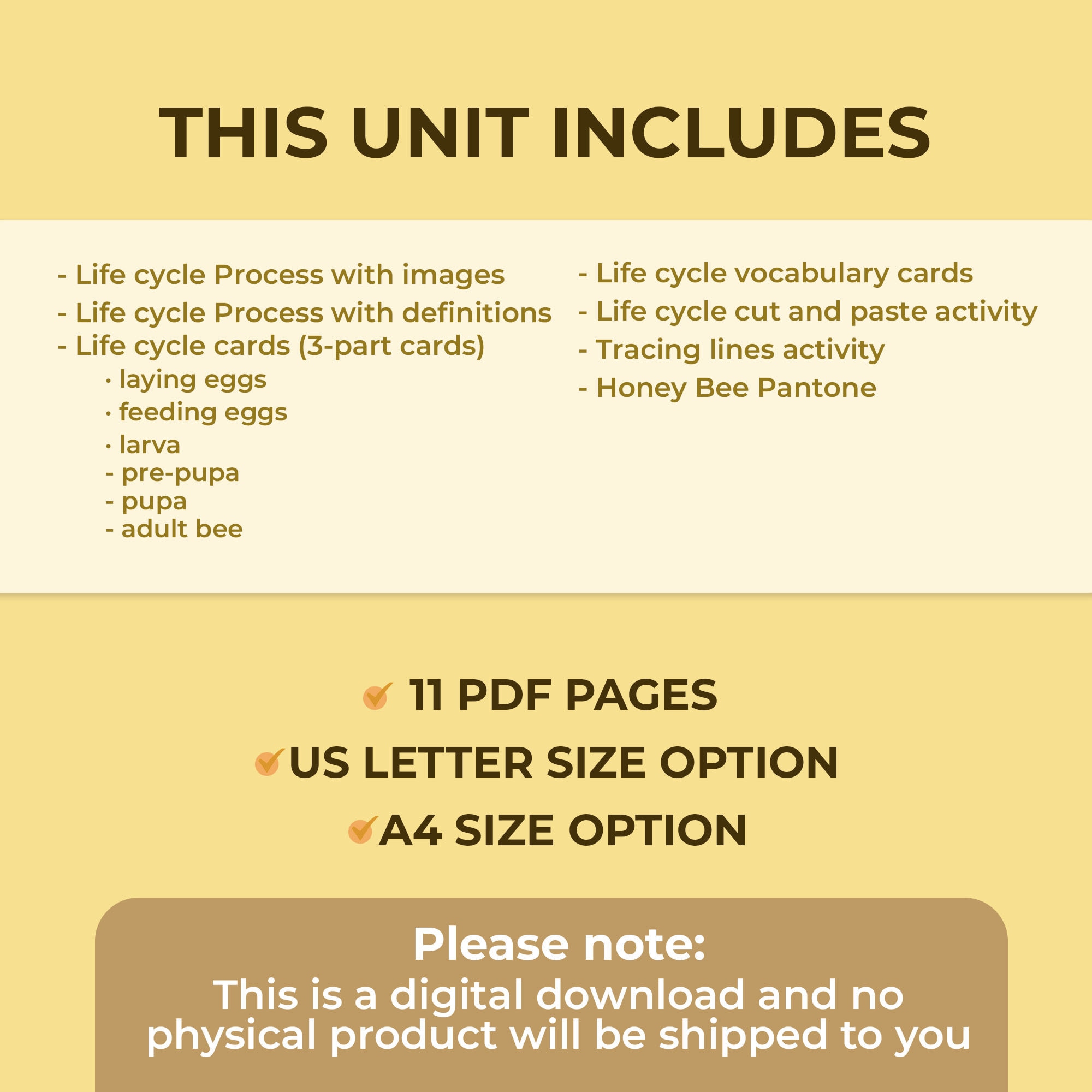 Honey Bee Life Cycle Bee Life Cycle Poster Life Cycle of the Honey Bee ...