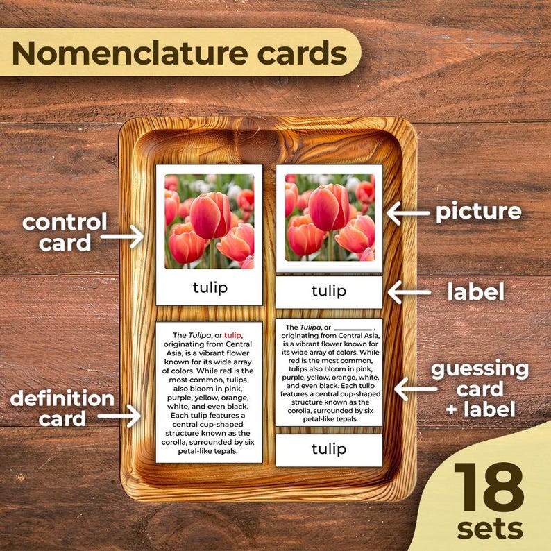 Types of Flowers Montessori Flash Cards Flowers Montessori 3 Part Cards ...