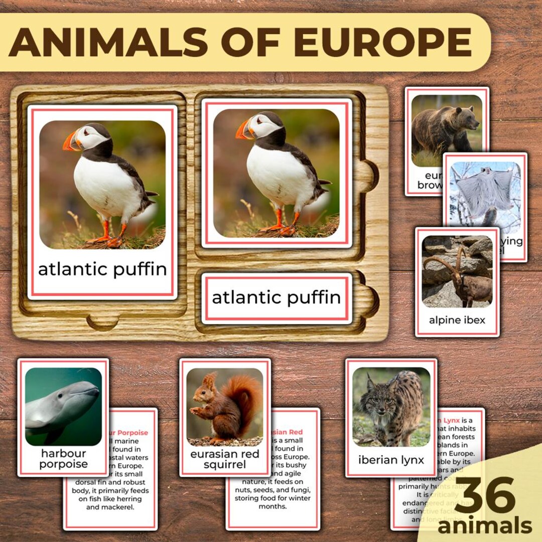 Animals From Europe Nomenclature Cards European Animals Cards Europe ...
