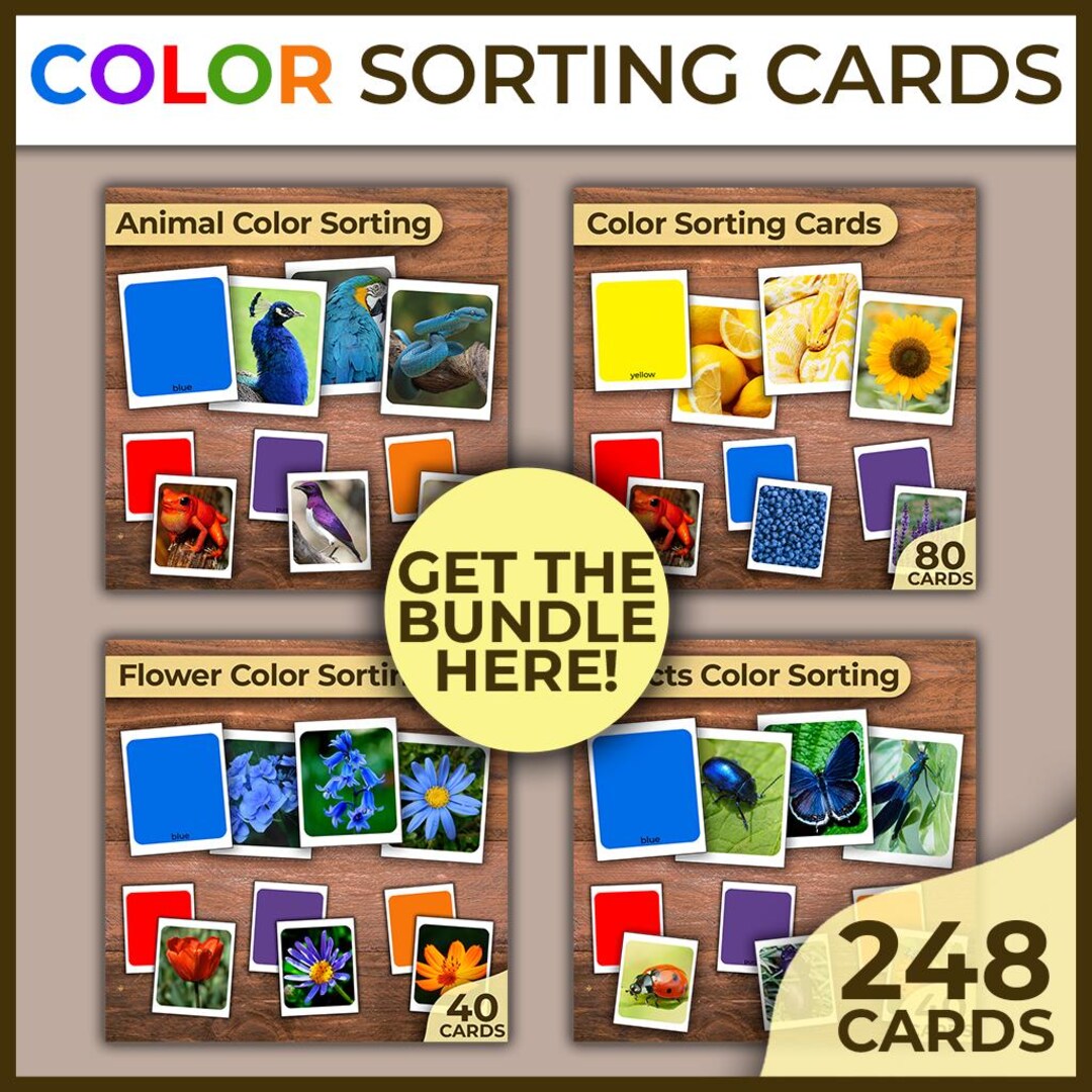 Color Sorting Activity Bundle Matching Colors for Toddlers Learning ...