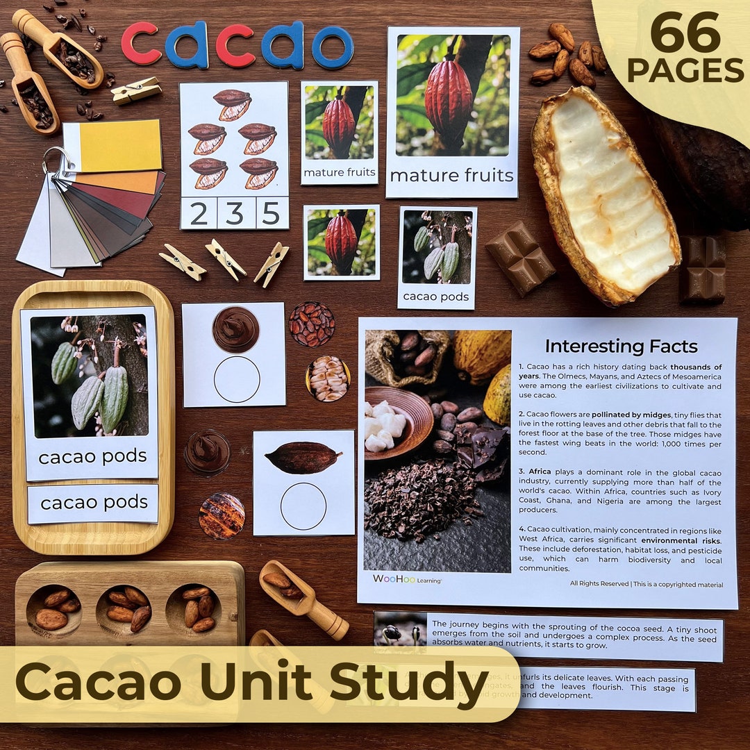 Cacao Unit Study Cacao Homeschooling Unit Cacao Tree Life Cycle Cacao ...