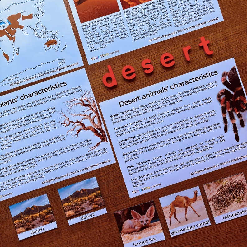 Animal Habitats Unit Study Animals and Habitats Biomes of the World ...