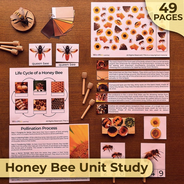Honey Bee Printables - Etsy