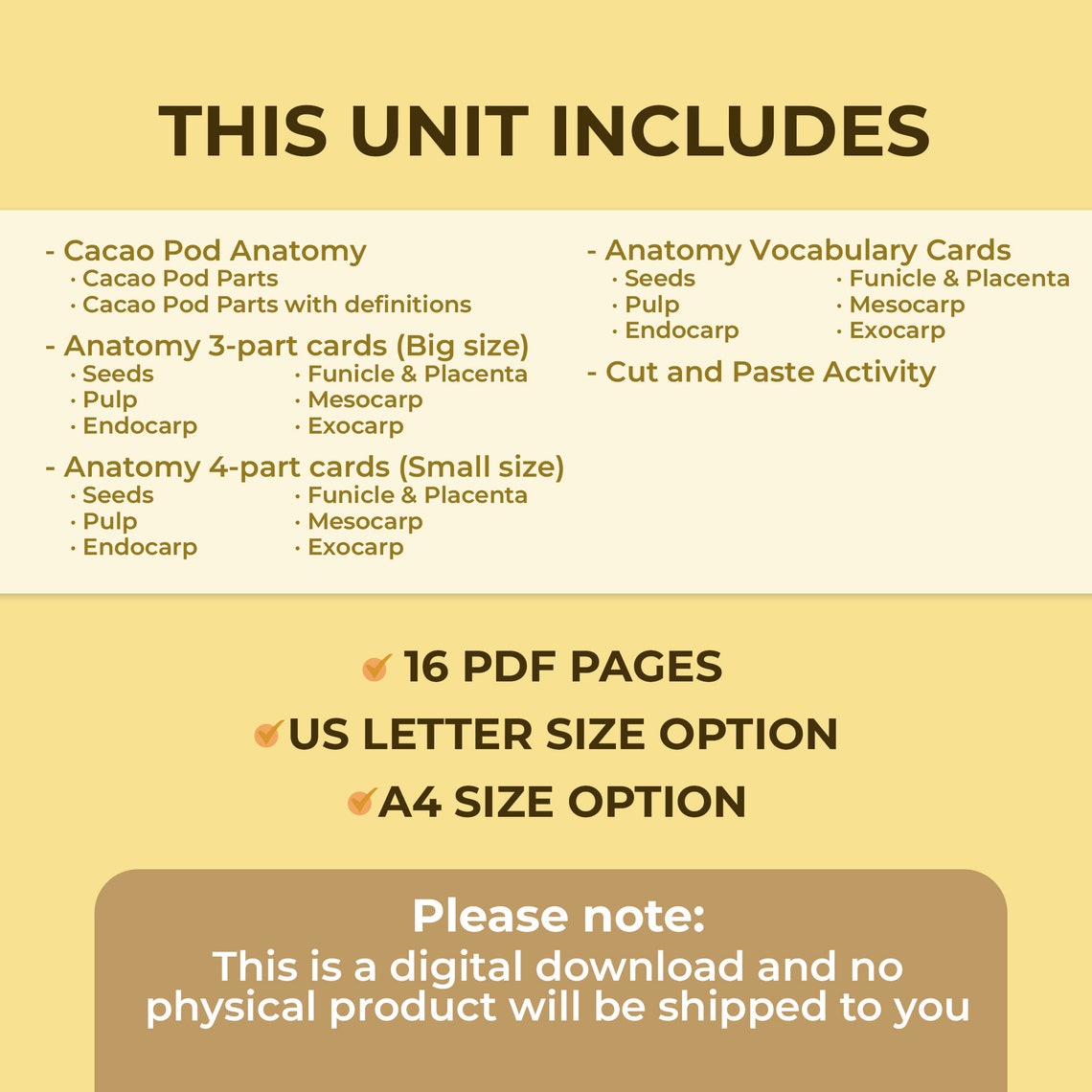 Cacao Pod Anatomy Chocolate Fruit Anatomy Chocolate Bean Parts Cacao ...