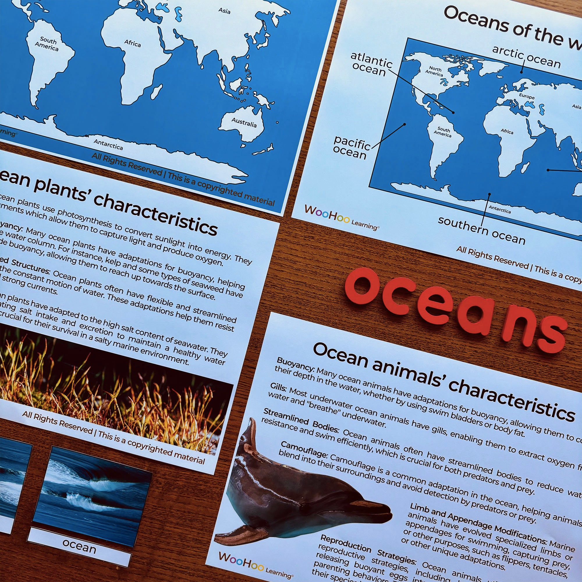 Ocean Habitat Unit Study Ocean Biome Unit All About Oceans Montessori ...