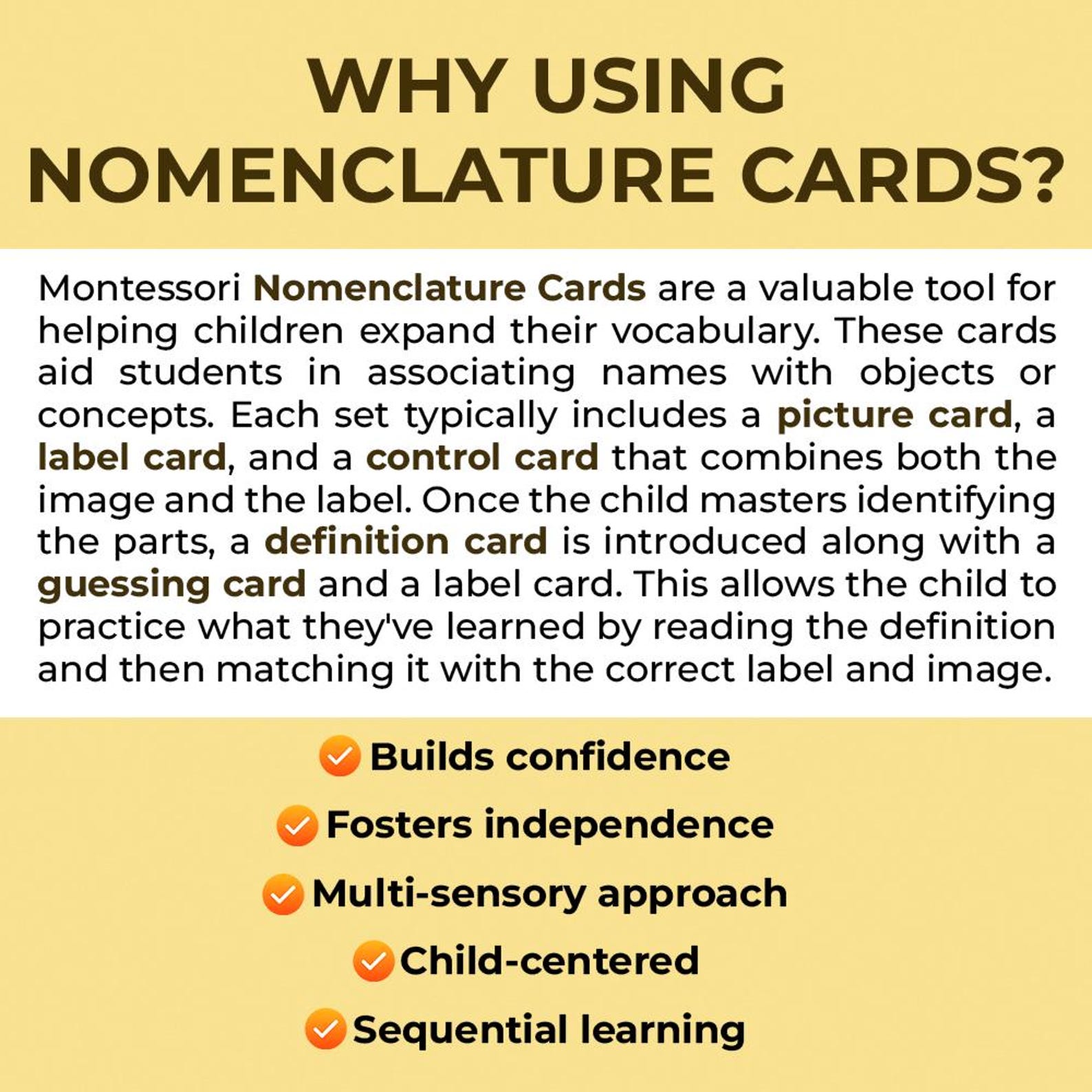 Parts of a Ladybug the Body Parts of a Ladybug Anatomy Parts Ladybug ...