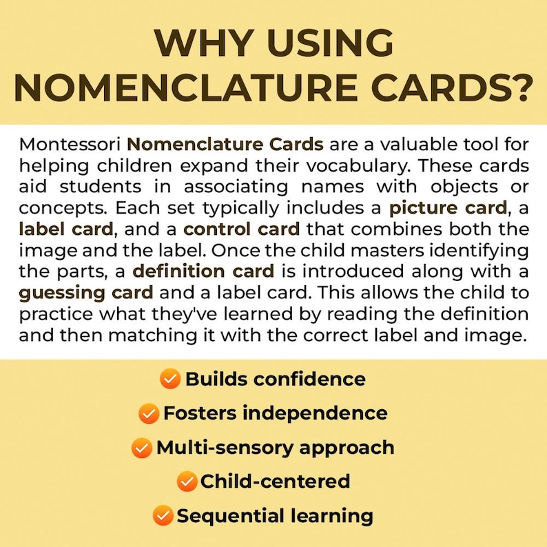 Parts of a Ladybug the Body Parts of a Ladybug Anatomy Parts Ladybug ...