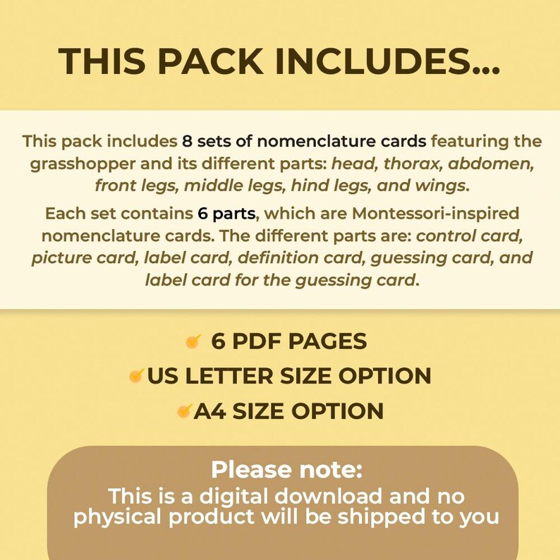 Parts of a Grasshopper Body Parts of a Grasshopper Anatomy Parts ...