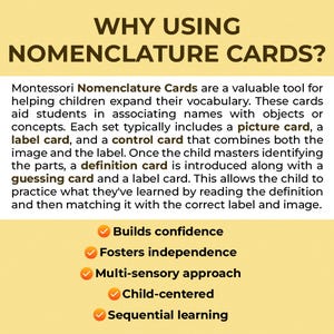 Parts of a Pumpkin Anatomy 3 Part Cards Pumpkin Nomenclature Cards ...