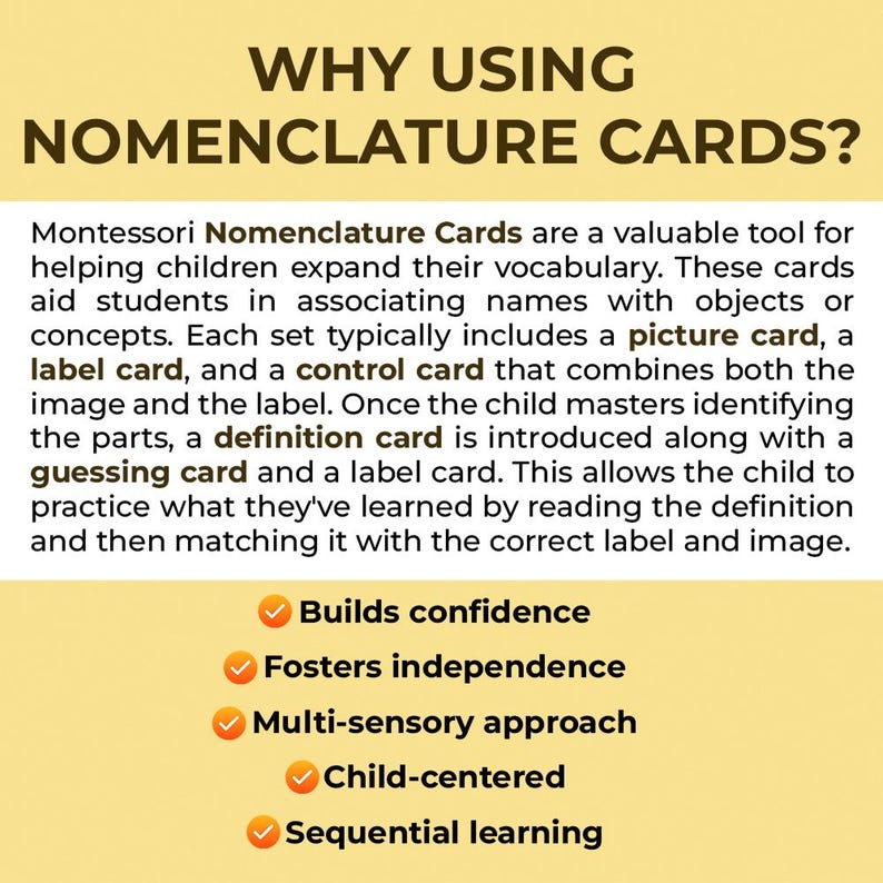 Parts of a Pumpkin Anatomy 3 Part Cards Pumpkin Nomenclature Cards ...