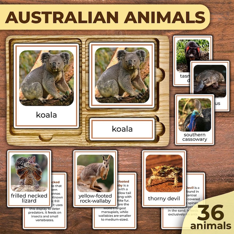 Animals of Australia Flashcards Animals Nomenclature Cards Amazing ...