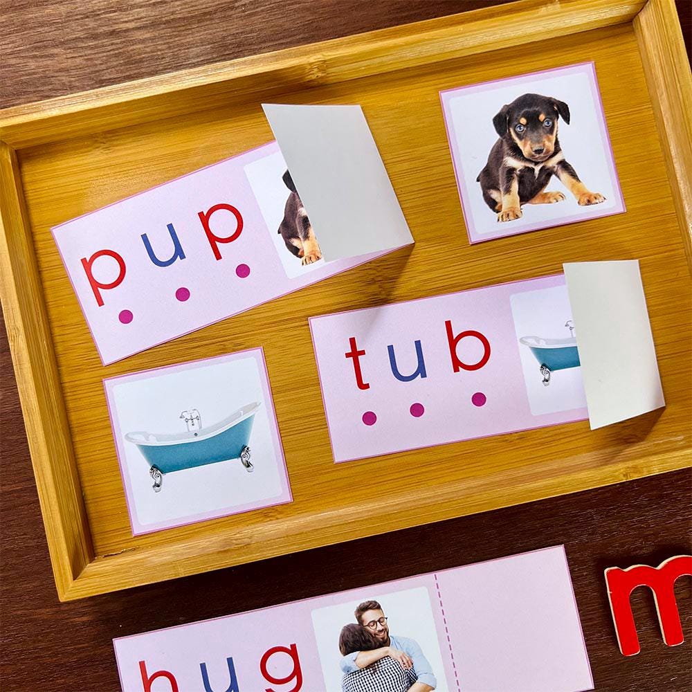 Montessori Pink Series Read and Reveal Pink Series Montessori CVC Words ...