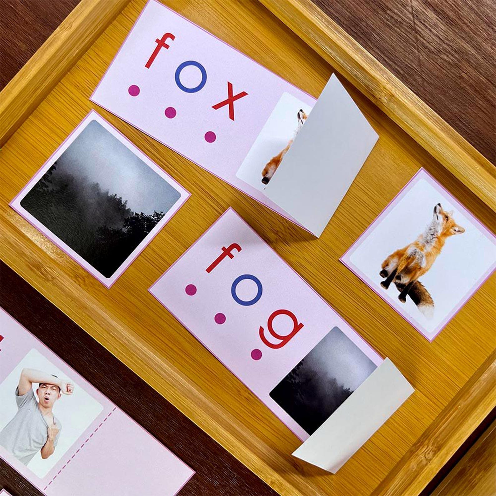 Montessori Pink Series Read and Reveal Pink Series Montessori CVC Words ...