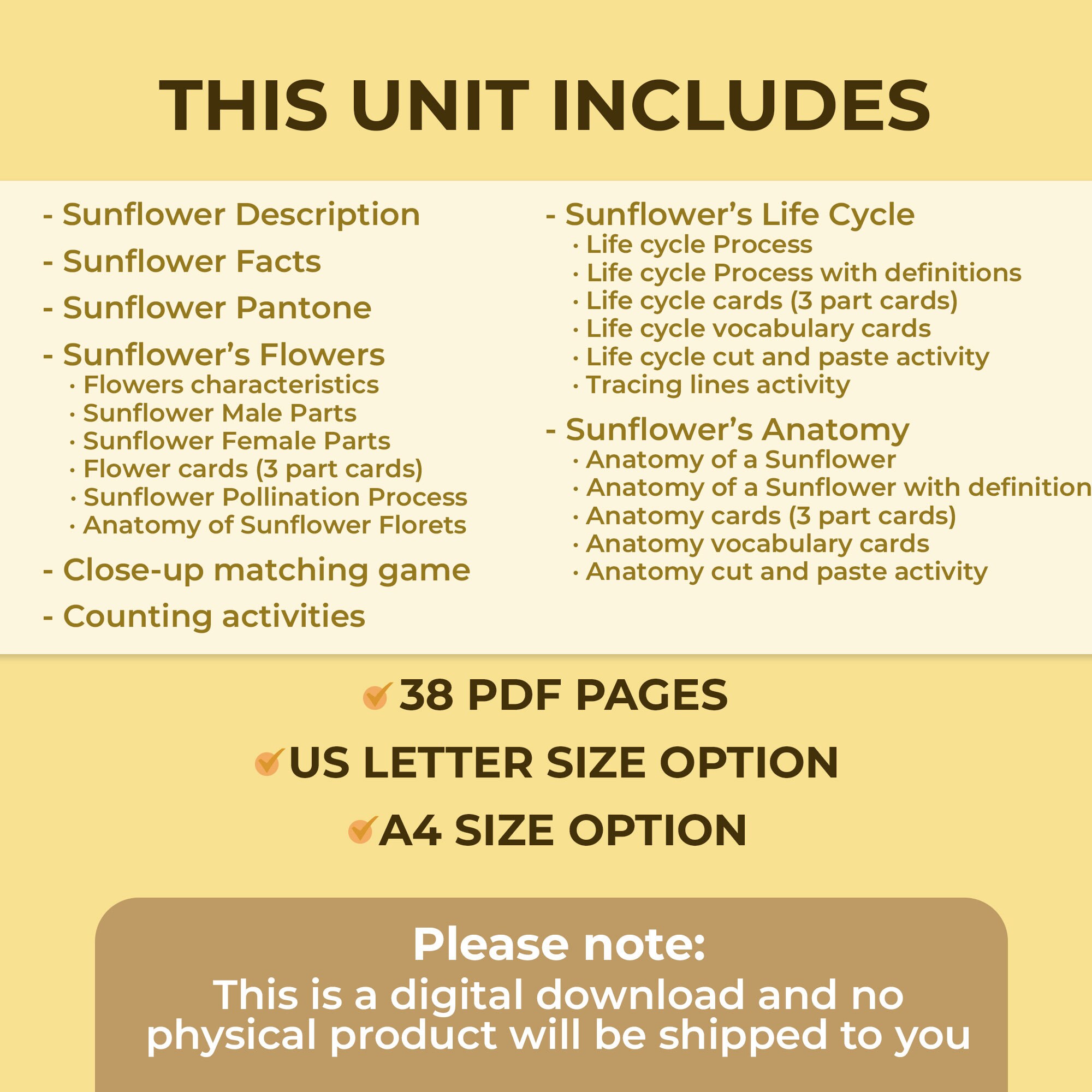 Sunflower Life Cycle Sunflower Anatomy Sunflower Printable Nature Study ...