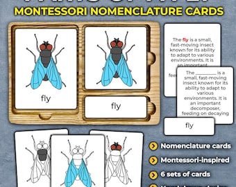 Insects 3-part Cards, Montessori Nomenclature Cards - Etsy