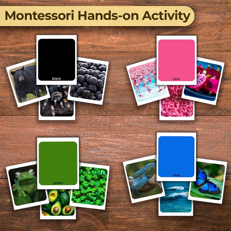 Color Sorting Activity Montessori Sorting Color Cards Matching Colors ...