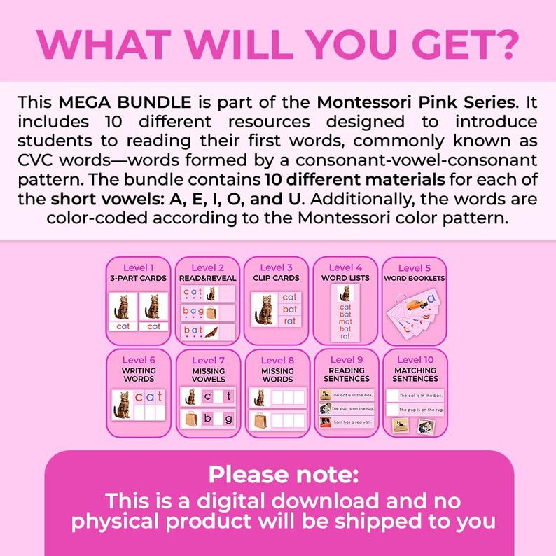 CVC Word Families CVC and Phonics Reading Activities Phonics Reading ...