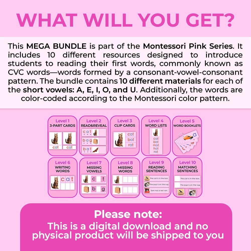 CVC Word Families CVC and Phonics Reading Activities Phonics Reading ...