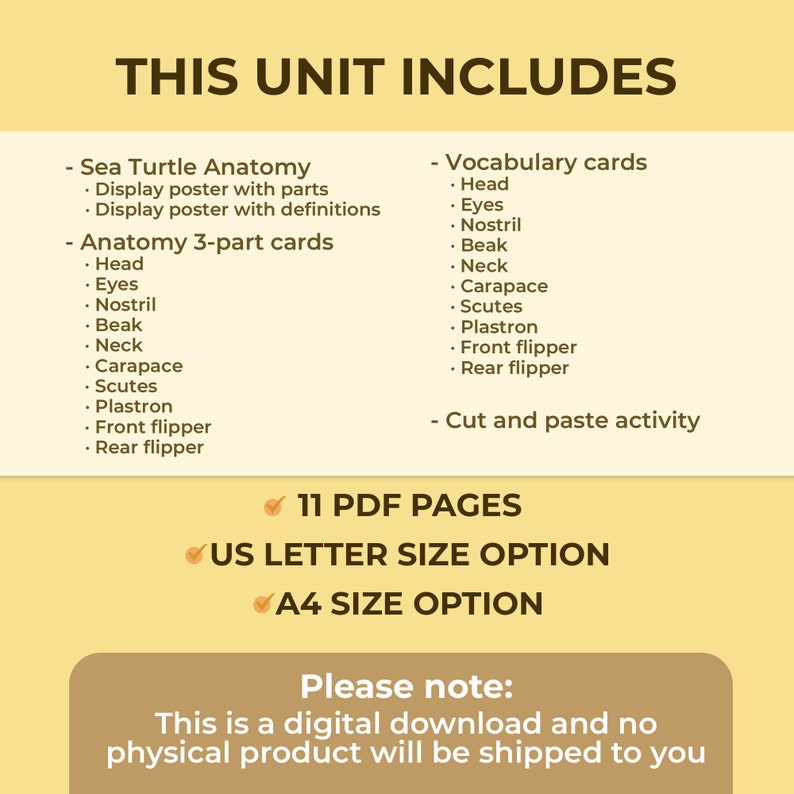 Sea Turtle Anatomy Sea Turtle Parts Anatomy of a Sea Turtle Montessori ...