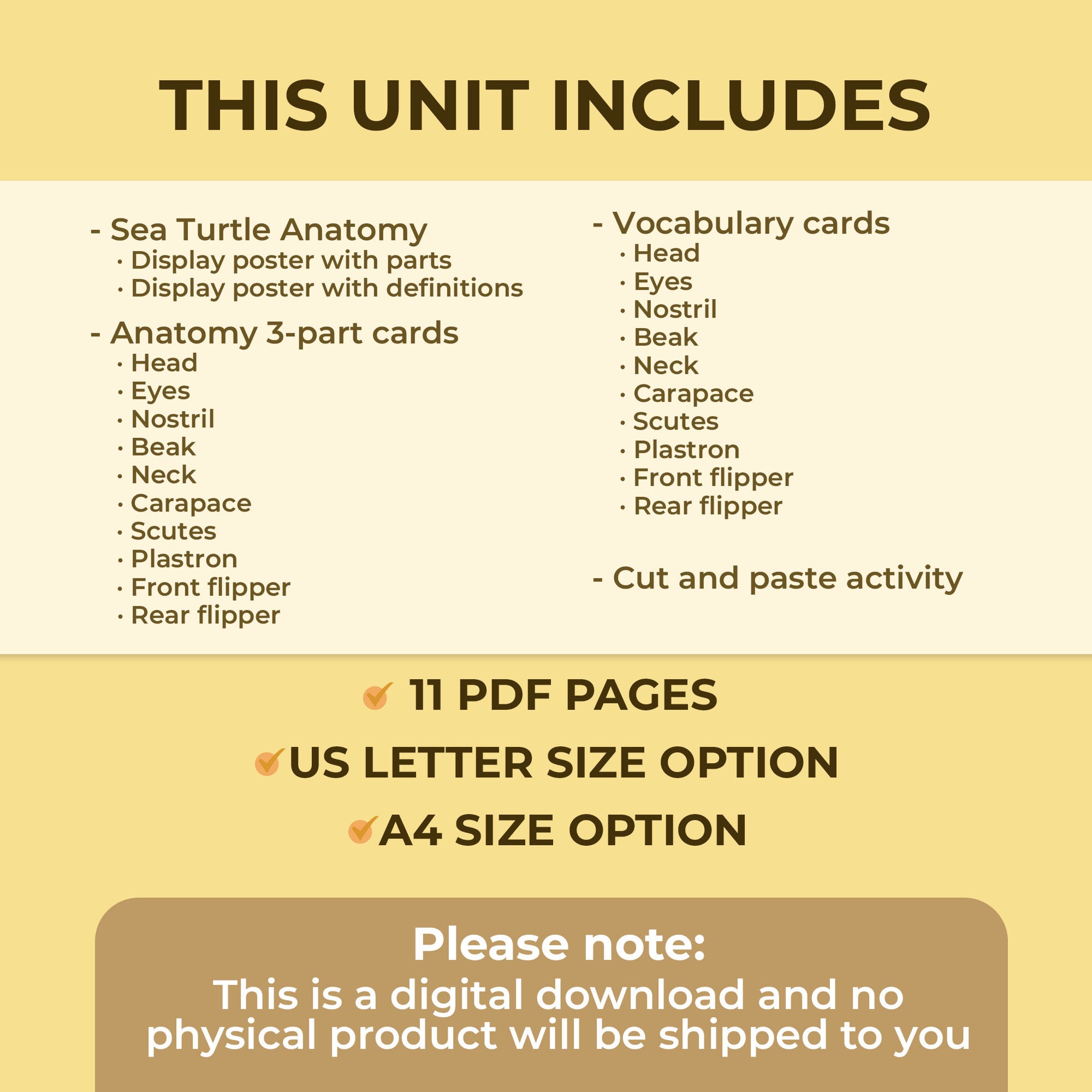 Sea Turtle Anatomy Sea Turtle Parts Anatomy of a Sea Turtle Montessori ...