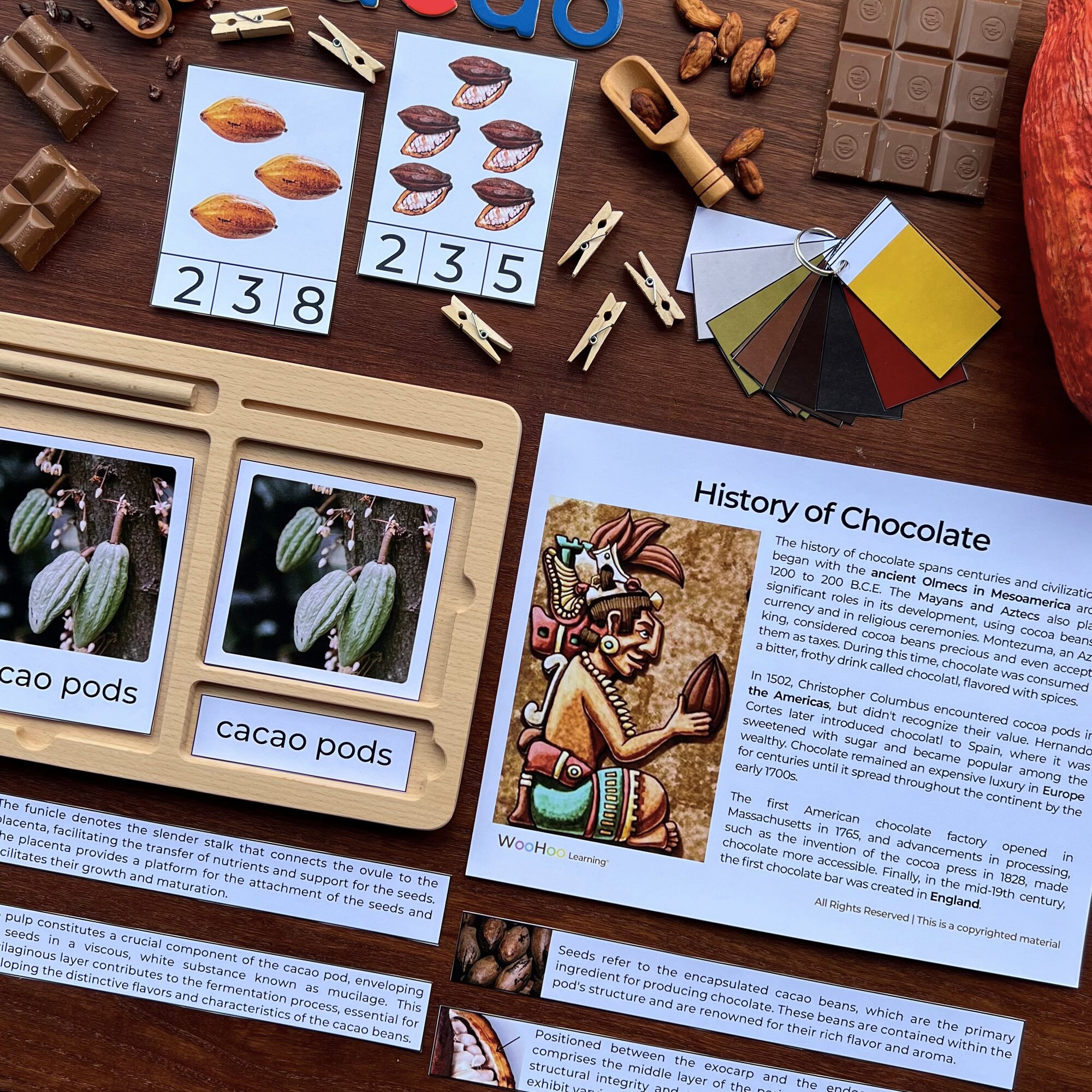 Cacao Unit Study Cacao Homeschooling Unit Cacao Tree Life Cycle Cacao ...