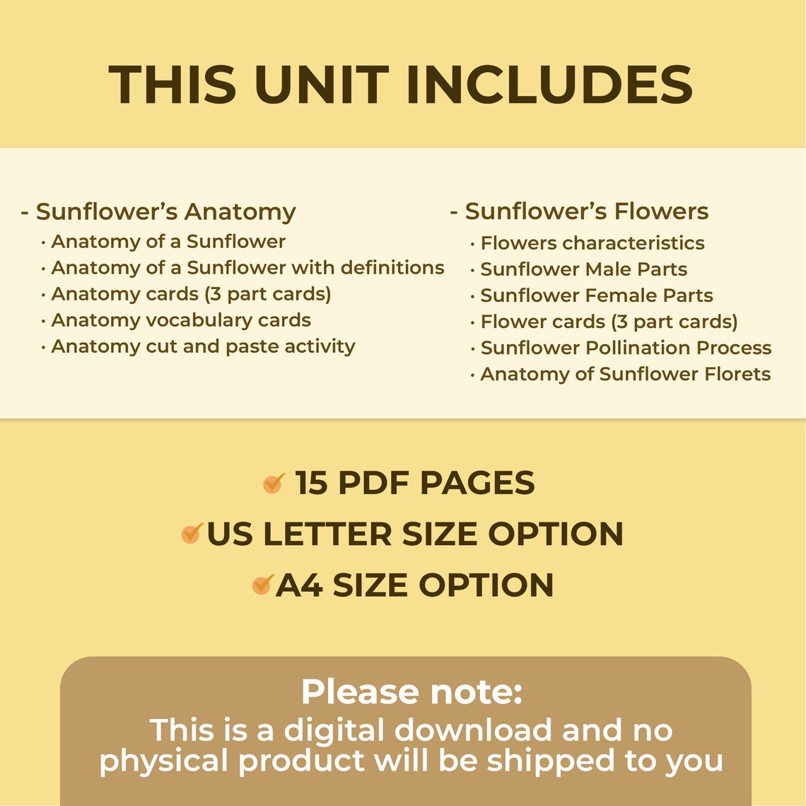 Parts of a Sunflower Anatomy Poster Sunflower Parts of a Sunflower ...