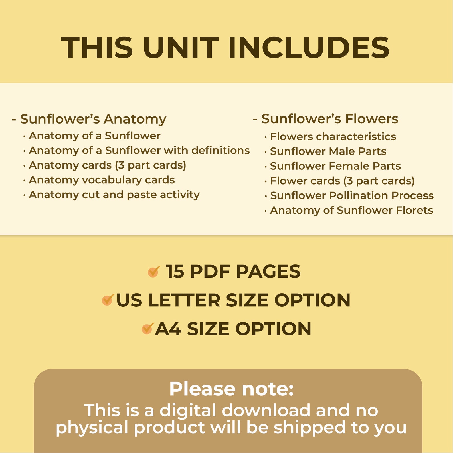 Parts of a Sunflower Anatomy Poster Sunflower Parts of a Sunflower ...