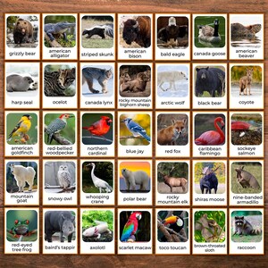 Animals of North America Montessori Color-coded Montessori Nomenclature ...