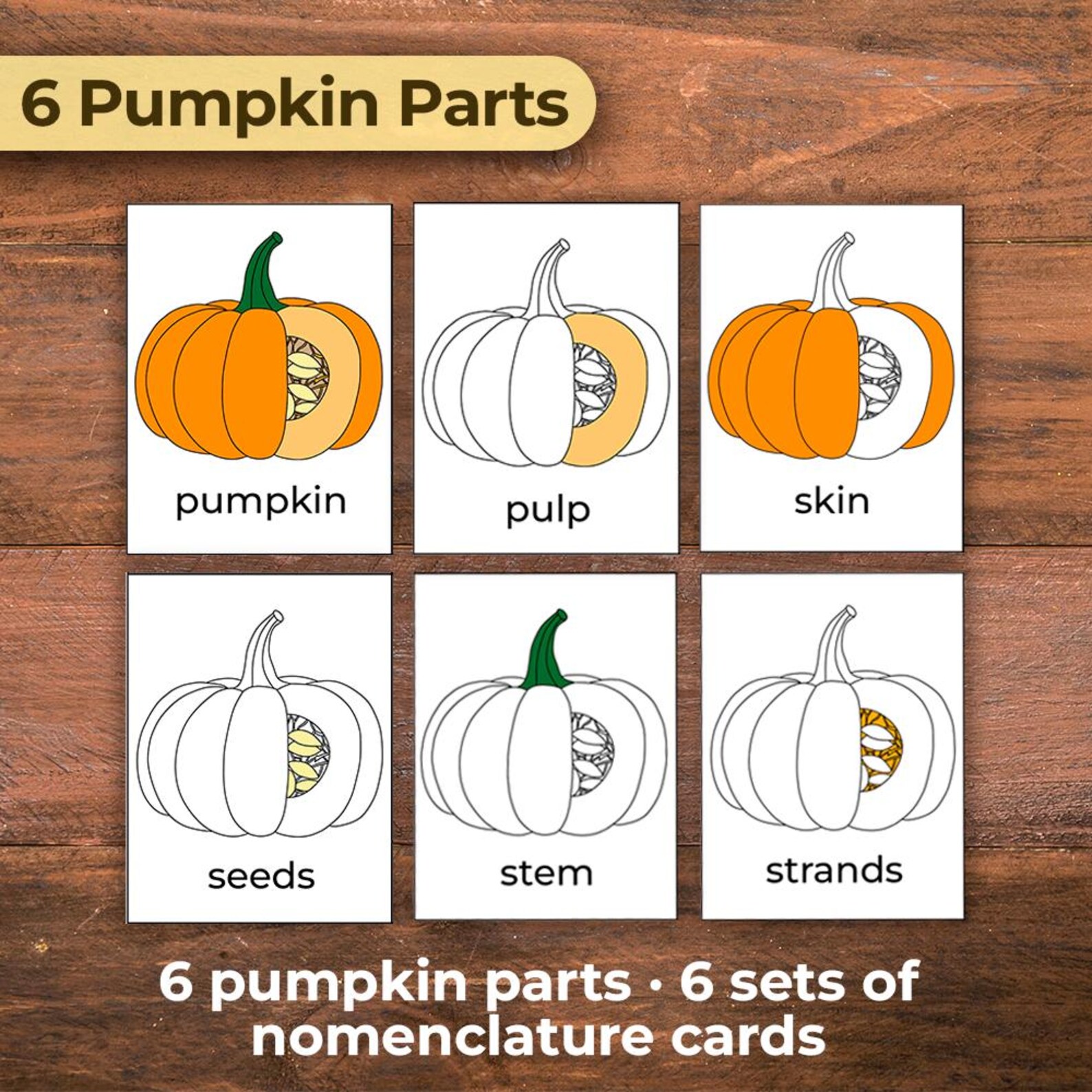 Parts of a Pumpkin Anatomy 3 Part Cards Pumpkin Nomenclature Cards ...