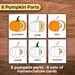 Parts of a Pumpkin Anatomy 3 Part Cards Pumpkin Nomenclature Cards ...