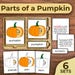 Parts of a Pumpkin Anatomy 3 Part Cards Pumpkin Nomenclature Cards ...