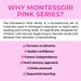 Montessori Pink Series Word Booklets Pink Series CVC Words Booklets ...