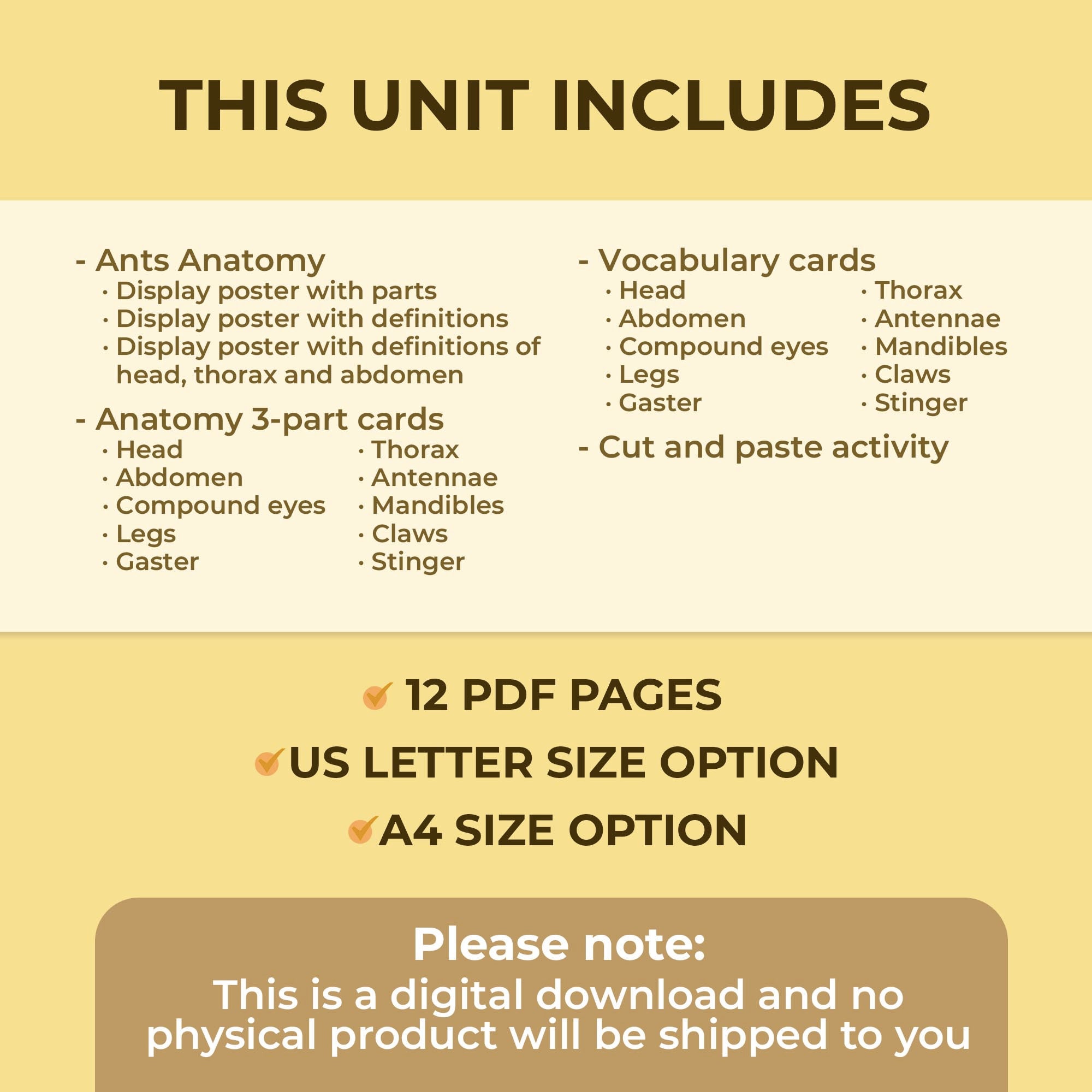 Ants Anatomy Parts of an Ant Anatomy Unit Study Ants Anatomy Nature ...