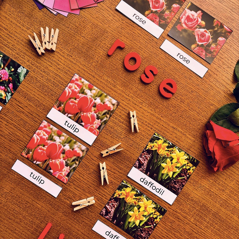 Types of Flowers Unit Study Flower Identification Flowers Montessori ...