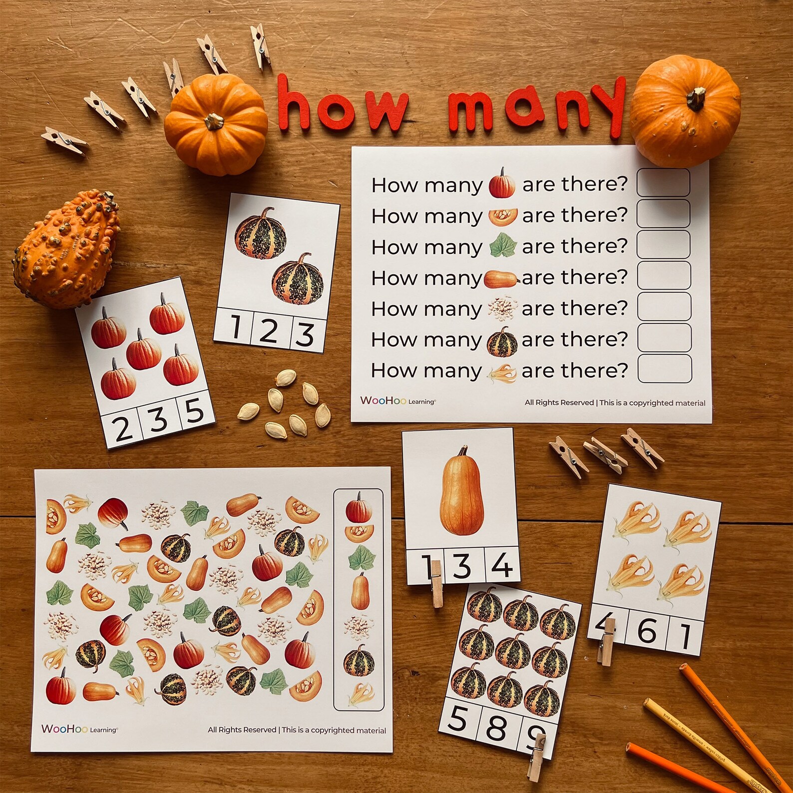 Pumpkin Unit Study Pumpkin Life Cycle Pumpkin Anatomy Montessori ...