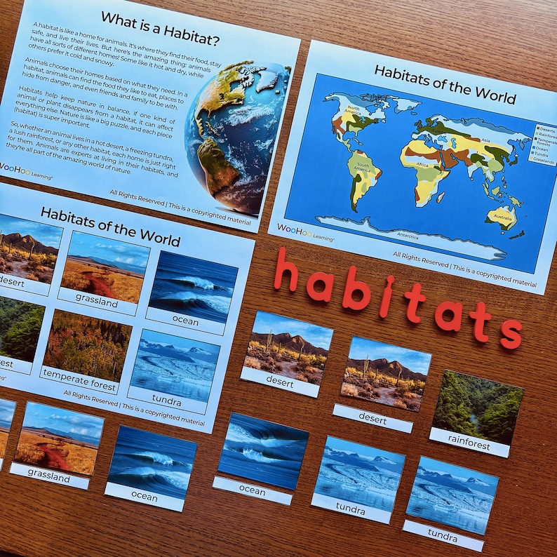 Animal Habitats Unit Study Animals and Habitats Biomes of the World ...