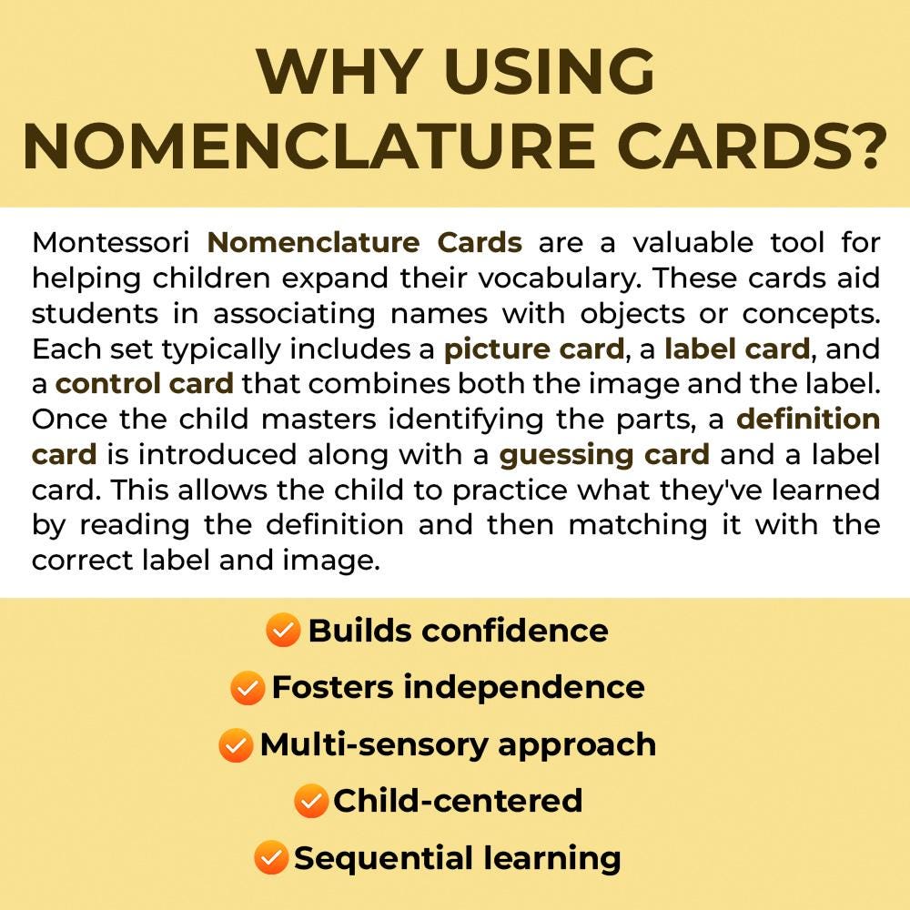 Parts of a Volcano Nomenclature Cards Montessori Volcano Labeled ...