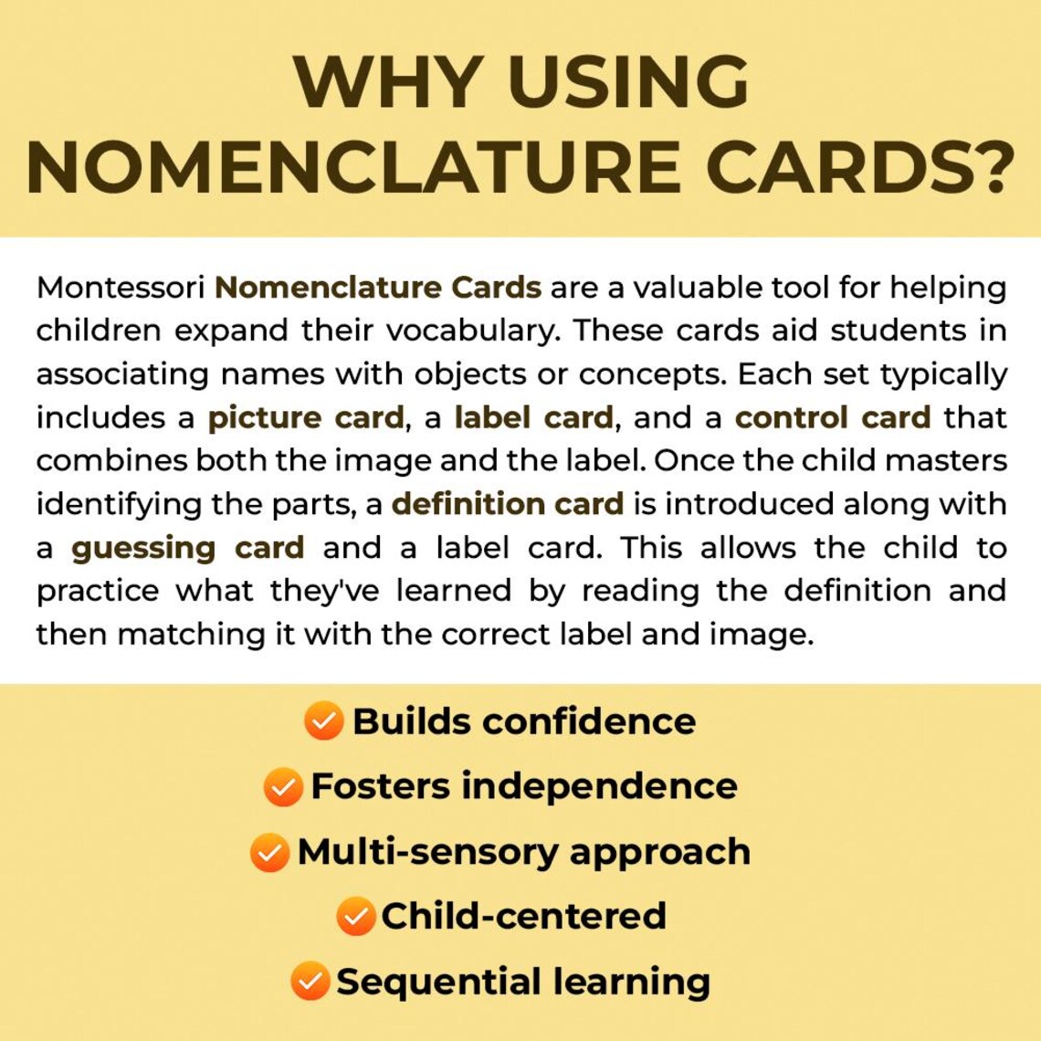 Parts of a Praying Mantis Insect Mantis Anatomy Cards Praying Mantis ...
