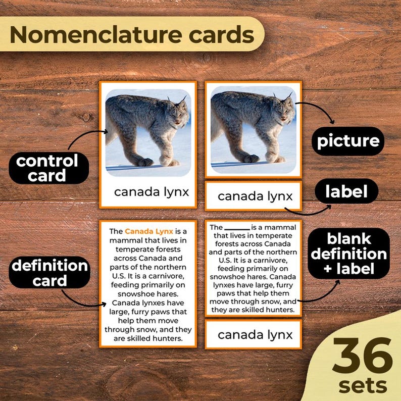 Animals of North America Montessori Color-coded Montessori Nomenclature ...