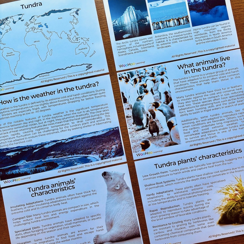 Animal Habitats Unit Study Animals and Habitats Biomes of the World ...