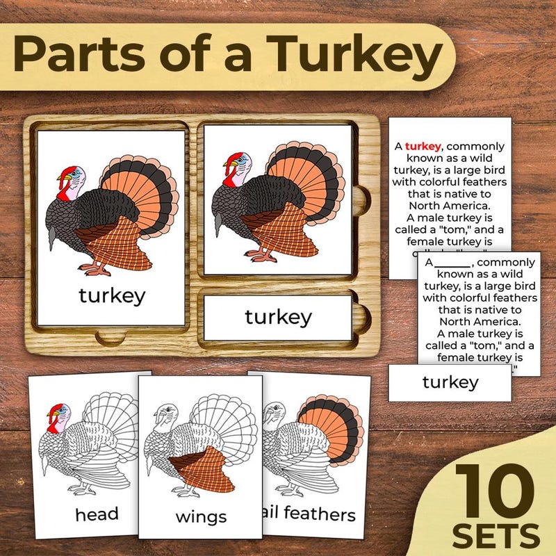 Turkey Outline Printable - Etsy