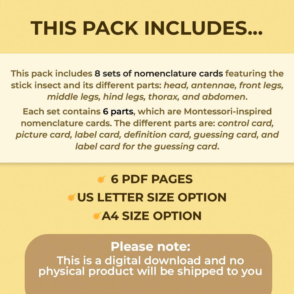 Parts of a Stick Insect Body Parts Anatomy of a Walking Stick Anatomy ...