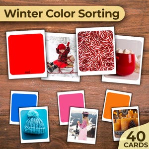 Color Sorting Toddler Activity Winter Color Sorting Color Matching ...